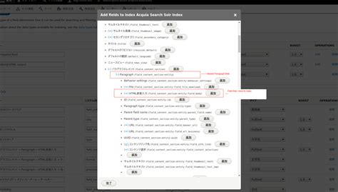 Adding Paragraphs And Their Fields To Be Indexed 2843448