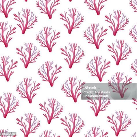 붉은 산호와 원활한 패턴입니다 수중 식물이 있는 수채화 그림 산호초 만화 스타일 섬 컬렉션 벽지 포장에 적합합니다 배경 0명에 대한 스톡 벡터 아트 및 기타 이미지 Istock