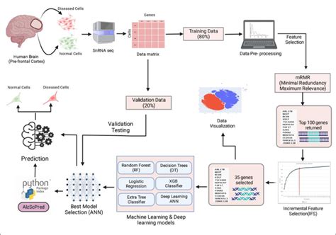 Workflow Shows Major Steps Involved In This Study Like Data Extraction Download Scientific