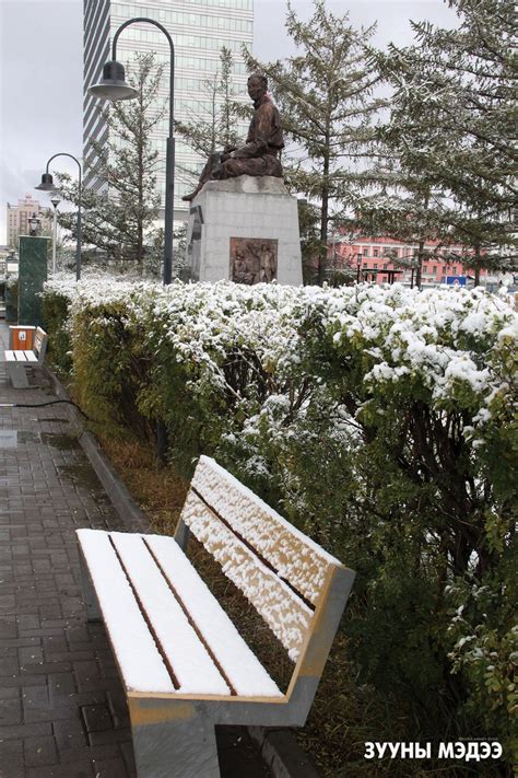 Фото Анхны цаснаар