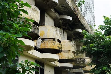 C Nh Hoang T N Khu C A B C Nh T Qu N Thanh Xu N L M D N King