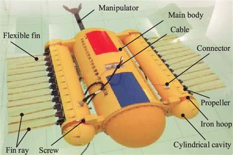 Figure 1 From A Paradigm For Path Following Control Of A Ribbon Fin