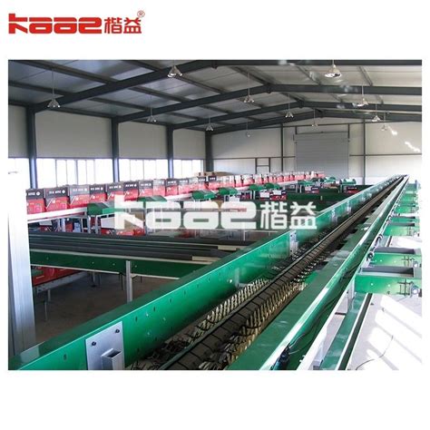 Rotary Weight Grading Automatic Fruit Sorting Machine With Plc Motor Gear