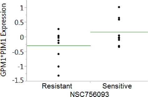 Analysis Of Pim1 Gbp1 Gene Expression And Nsc756093 Sensitivity Median Download Scientific