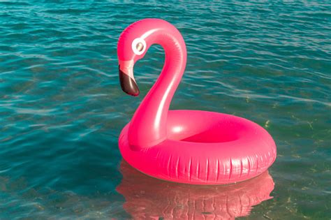 여름 휴가 포스터 바다 여름 해변 배경에 대한 푸른 바다 물에 분홍색 팽창식 플라밍고 아이들을위한 재미있는 새 장난감 0명에 대한 스톡 사진 및 기타 이미지 Istock