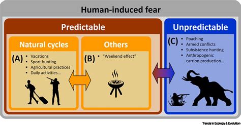 Extending The Dynamic Landscape Of Fear In A Human Dominated World Trends In Ecology And Evolution