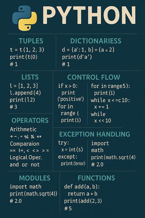 Python Programming Developers Learning Fatima Sheikh