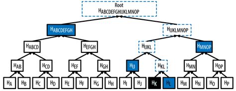 Merkle Trees And Spvs In Bitcoin