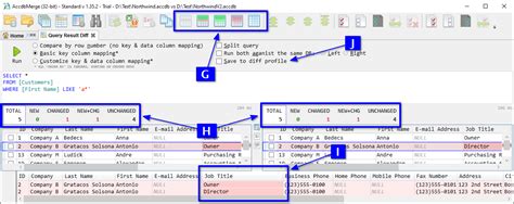 Compare Custom Query Results Accdbmerge