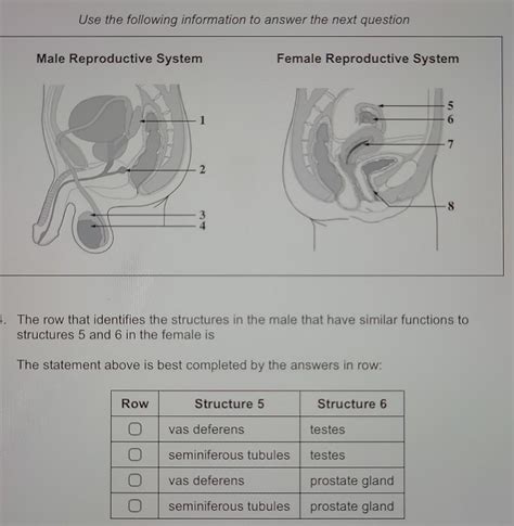 Use The Following Information To Answer The Next Chegg Com