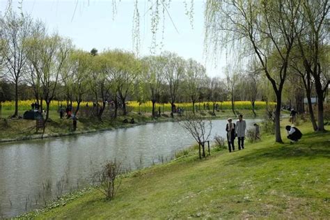 景观韧性视角下的绿色基础设施规划理念与应用 知乎