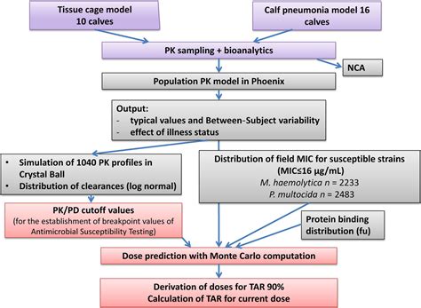 Figure From Standard PK PD Concepts Can Be Applied To Determine A Dosage Regimen For A