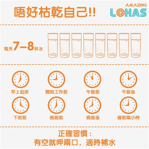 飲水時間表 Amazing LOHAS Limited