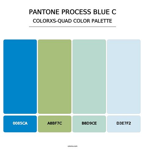 Pantone Process Blue C Color Palettes
