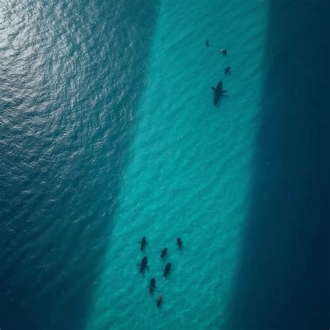 Ocean Mapping Technology By Britech Group