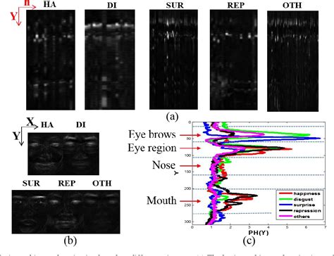 Figure 2 From Facial Micro Expression Recognition Using Spatiotemporal Local Binary Pattern With