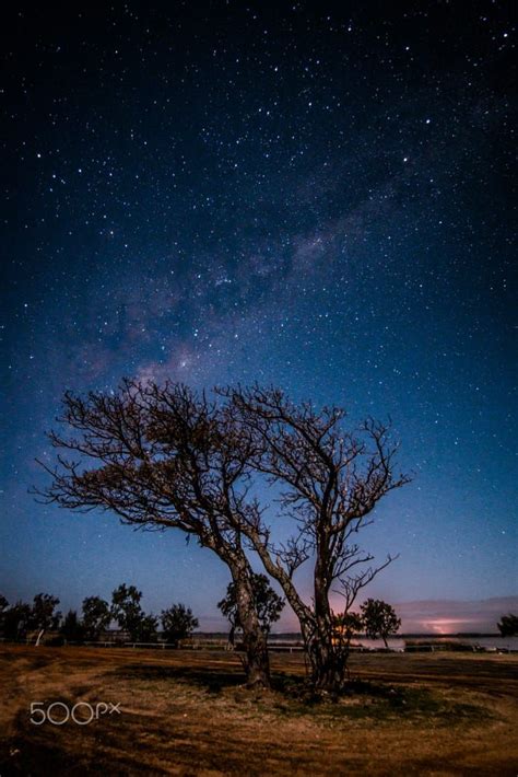 Milky Way Above Trees By Mark Nangle On 500px Milky Way Tree Marks