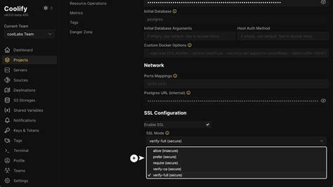 Database Ssl Coolify Docs