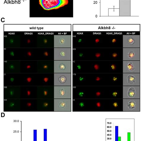 Microarray Based Transcript Analysis Was Performed On Early Passage Download Table