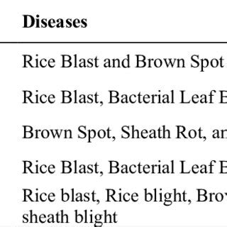 Comparative Analysis Of CNN Techniques For Rice Diseases Download