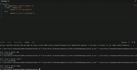 Python Codingpractice Palindrome Programming Bscit Bkbirlacollege Problemsolving