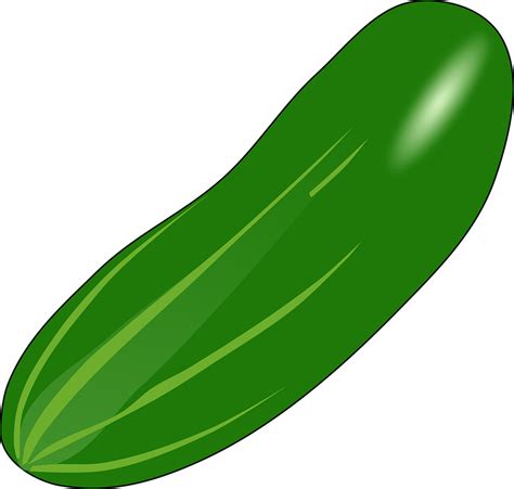 Download Cucumber Eat Edible Royalty Free Vector Graphic Pixabay