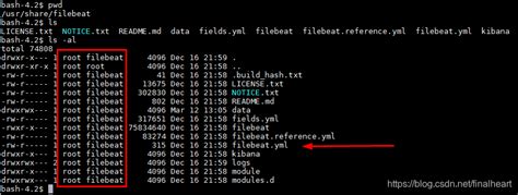 Exiting Error Loading Config File Open Filebeatyml Permission