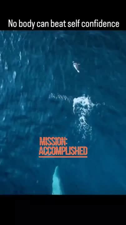 [video] Mintu Kumar Chetry On Linkedin Perseverance Selfconfidence