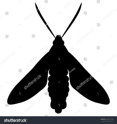 Clearwing Butterfly Over 21 Royalty Free Licensable Stock