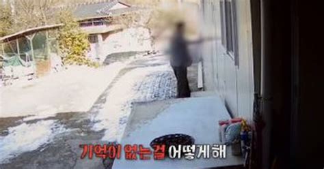 점잖은 70대 마을 이장 90대 할머니 성추행 추악한 이중생활