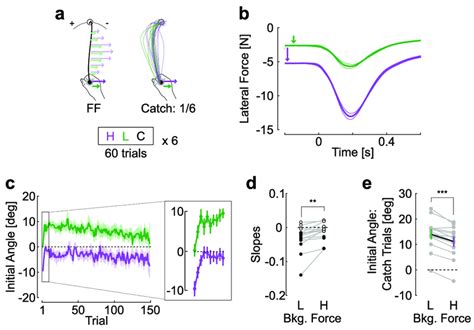 Experiment 2 A Schematic Representation Of The Task Participants N Download Scientific