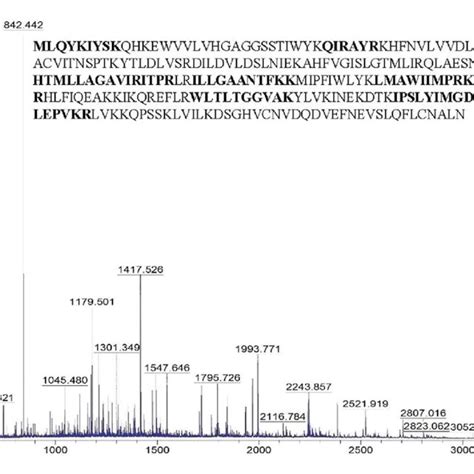 Peptide Mass Spectra Of Purified Lipase Obtained From Maldi Tof Ms Download Scientific