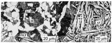 Microstructure Of The V Free Steel Air Cooled From Austenitization