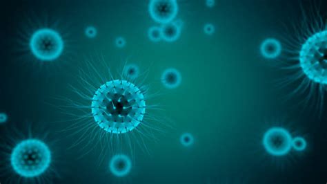 220개 이상의 전기 유사 분열 일러스트 스톡 사진 그림 및 Royalty Free 이미지 Istock