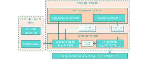 Schematic Representation Of A Tktd Regulatory Model Orange Boxes The Download Scientific