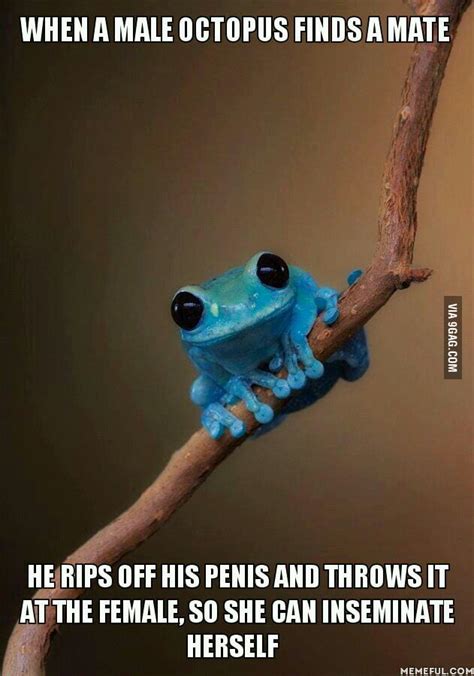 In Case You Didn T Know GAG