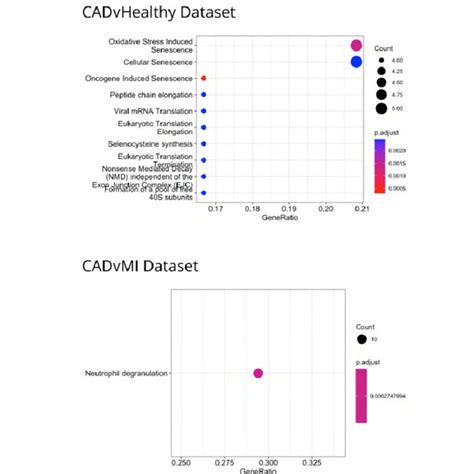 dotplot enrichment maps for both the cadvhealthy and cadvmi gene