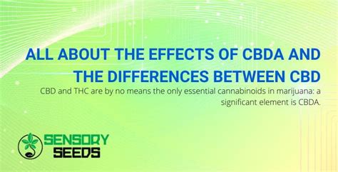 All About The Effects Of Cbda And The Differences With Cbd