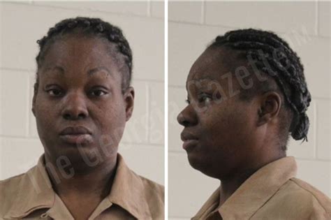 Angel Fleming — Houston County Jail Bookings