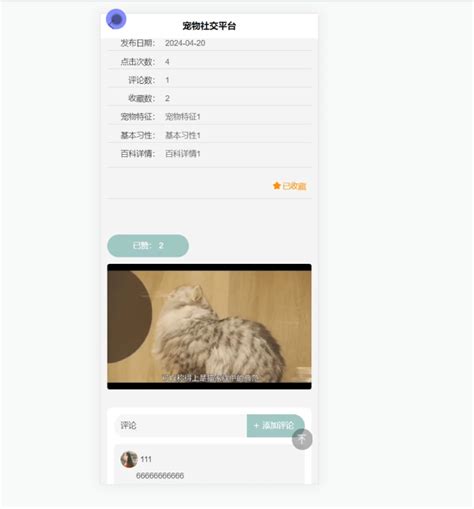 基于springbootvue的宠物社交平台设计和实现源码lw部署讲解 Csdn博客