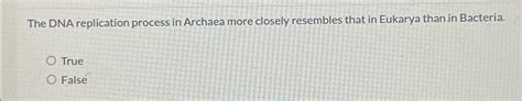 Solved The DNA Replication Process In Archaea More Closely Chegg Com