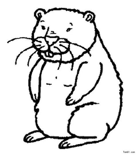 小田鼠简笔画 小田鼠简笔画图片 苗苗知道
