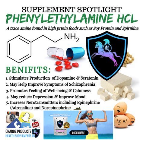 Phenylethylamine Hcl Capsules 500mg Adhd Dopamine And Norepinephrine