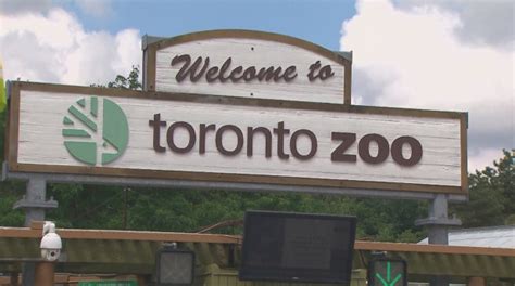 全市第一！多倫多動物園今日重開 多倫多 加拿大中文新聞網 加拿大星島日報 Canada Chinese News