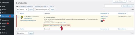 How To Manage Wordpress Comments In Simple Way Sapce30