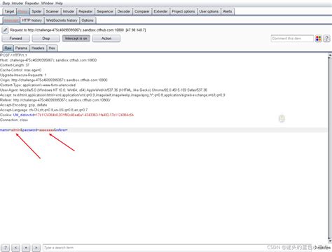 Ctf之旅（ctfhub技能树详细write Up已完结（密码口令xss）ctfhub Writeup Csdn博客