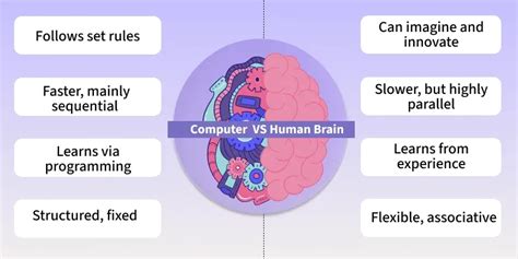 Brain Vs Computer Geeksforgeeks