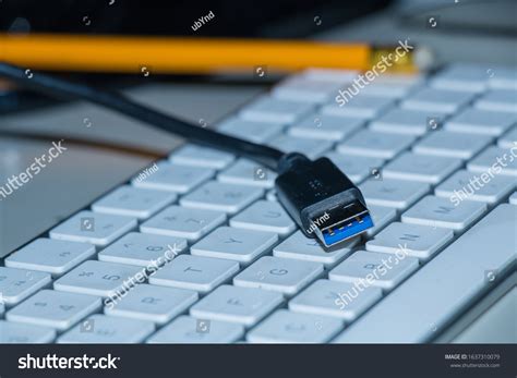 Usb Cable External Hard Drive Stock Photo Shutterstock
