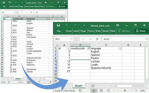filter blank cells in excel using c