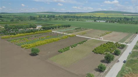 Всичко за градината озеленяването ландшафтната архитектура интериора дизайна архитектурата